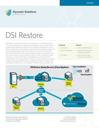 DSI_Restore | PDF