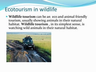 Ecotourism | PPTX