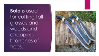 1 FARM TOOLS IN AGRICULTURAL CROP PRODUCTION(powerpoint).pptx
