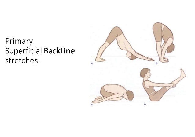 1 fascia basics