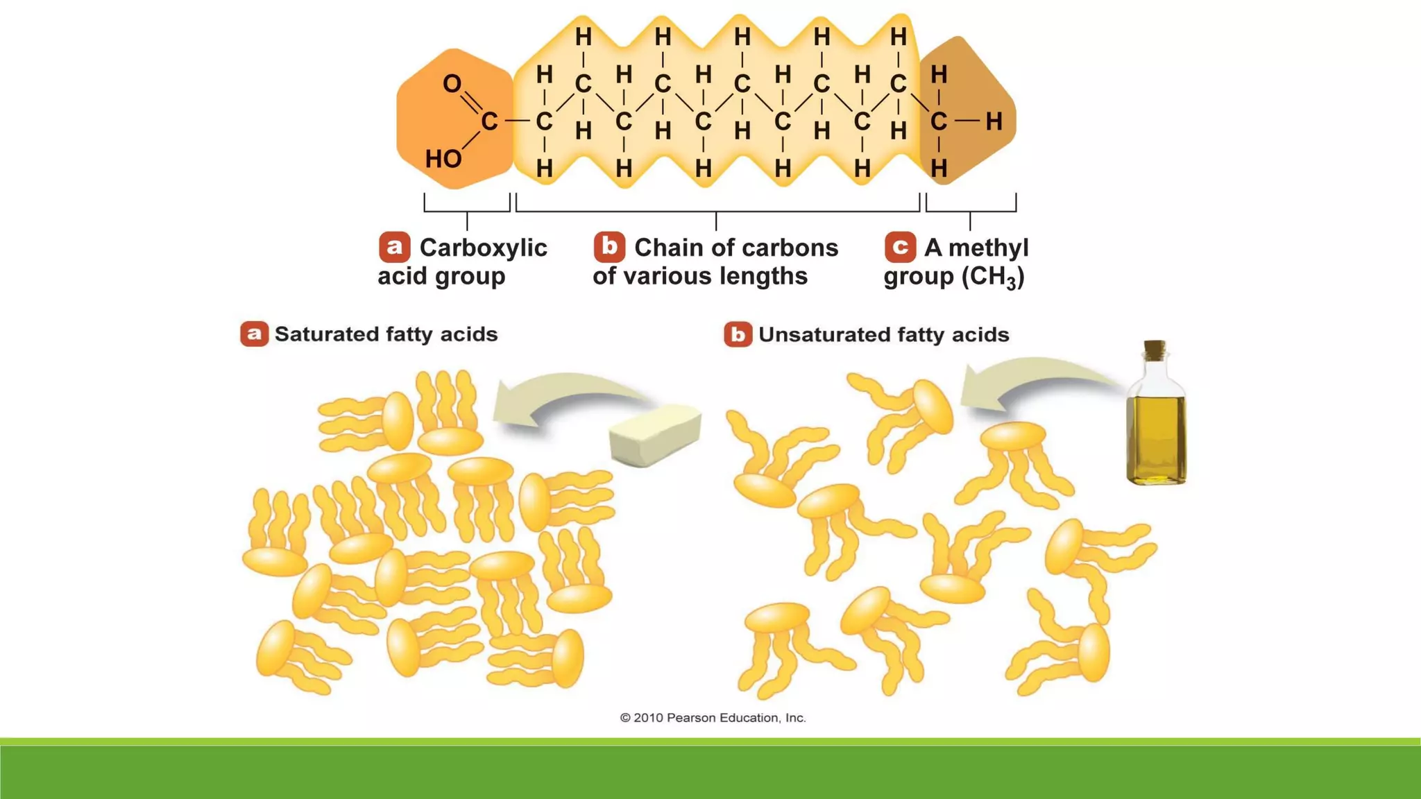 Fats and Oils: Structures and Functions | PDF