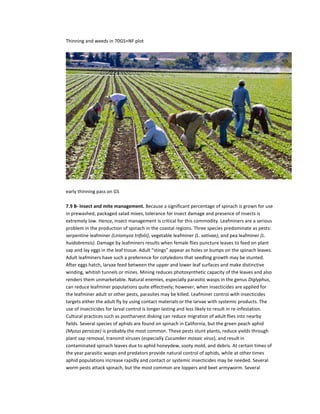 Spinach Trial 81315 USA | PDF