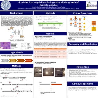 Step-Up Poster (4) | PPTX