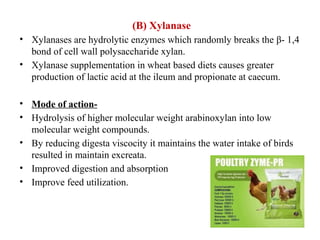 Role of Feed Enzymes to achieve improved Nutrition and Health | PPTX