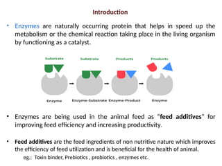 Role of Feed Enzymes to achieve improved Nutrition and Health | PPTX