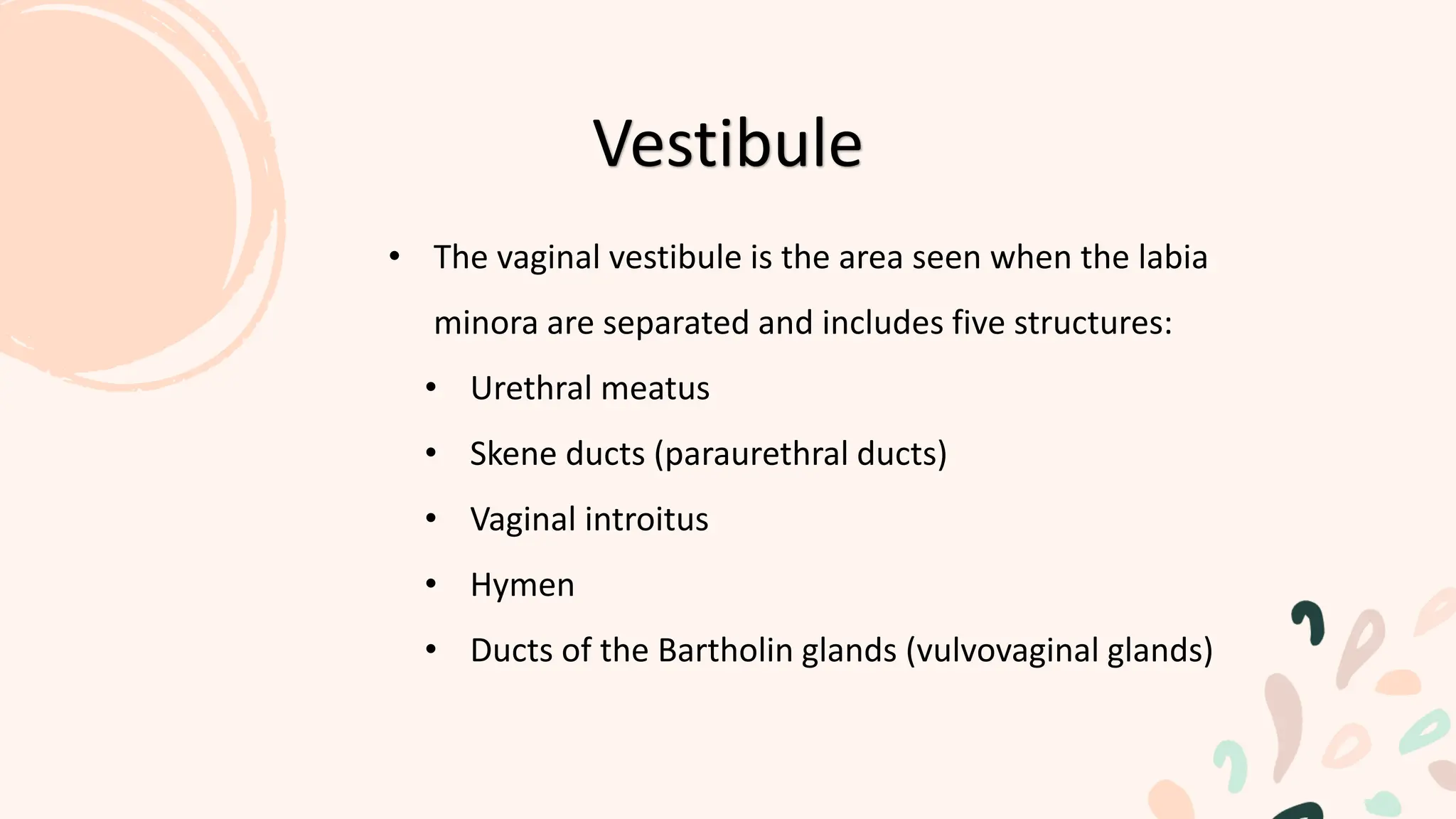 1 female anat physio puberty dynamics.pptx [Autosaved].pptx