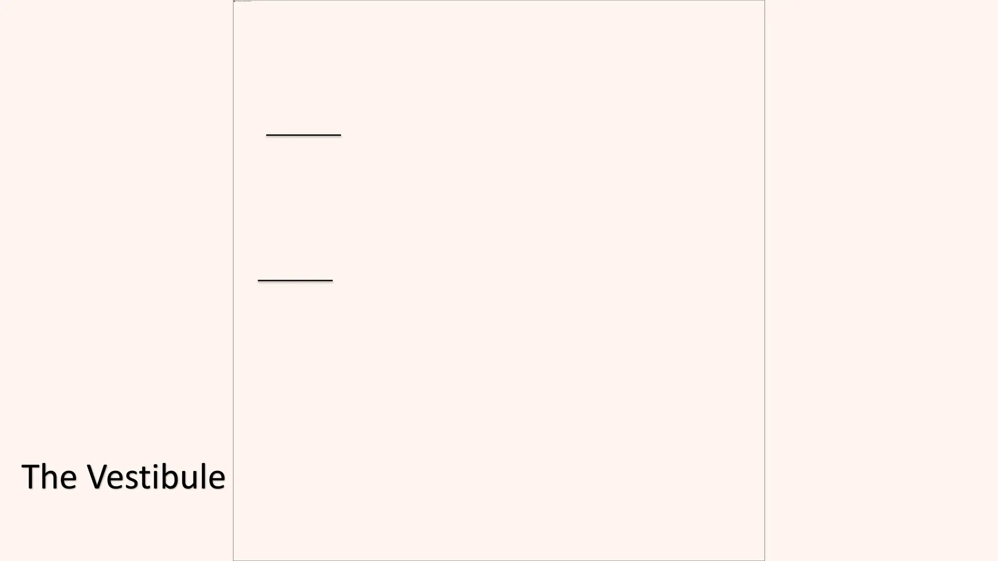 1 female anat physio puberty dynamics.pptx [Autosaved].pptx