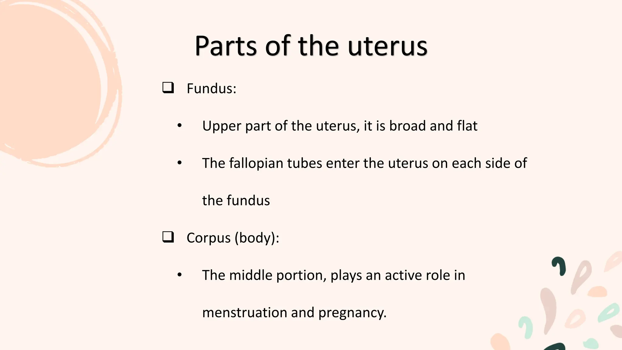 1 female anat physio puberty dynamics.pptx [Autosaved].pptx