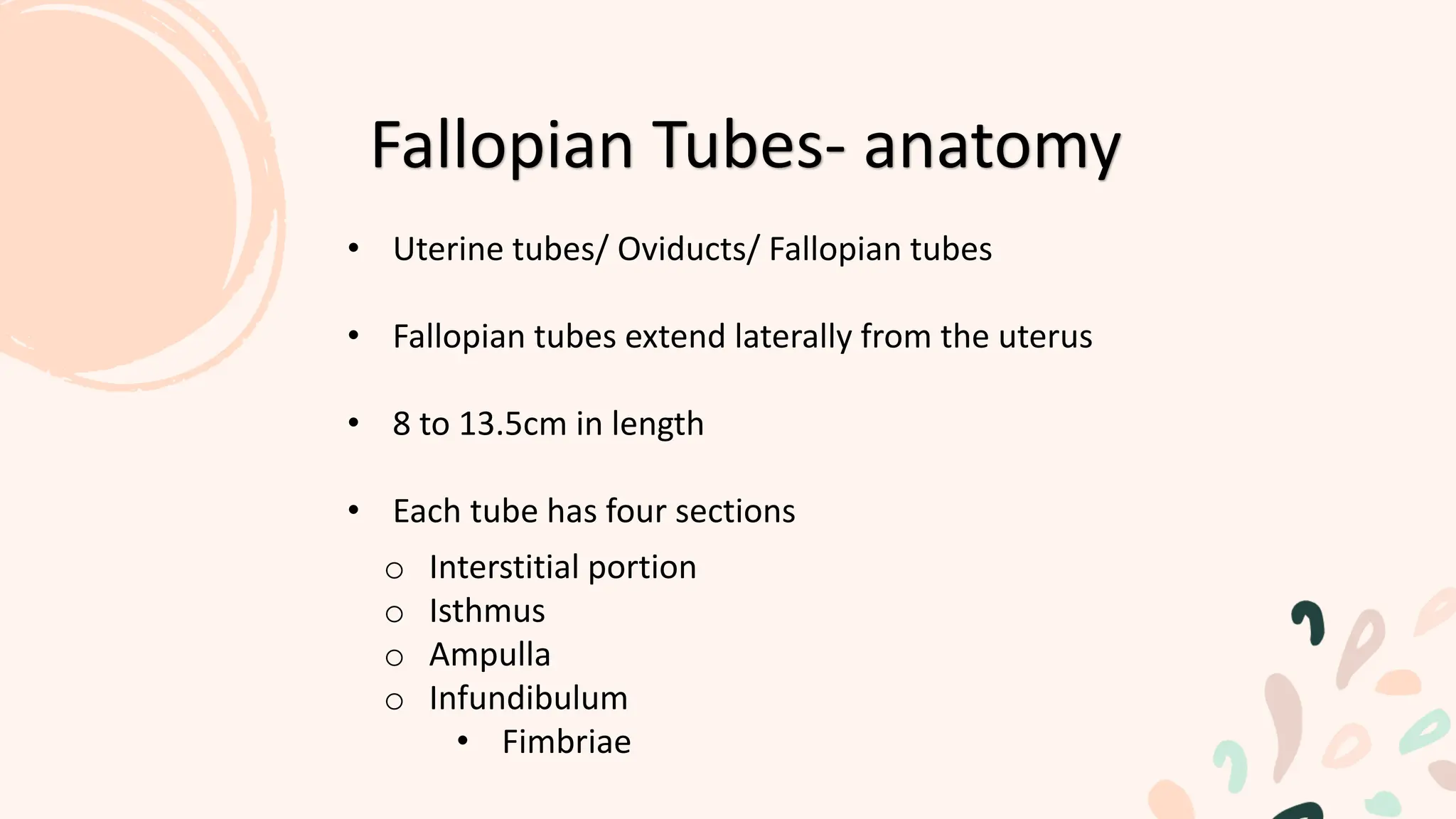 1 female anat physio puberty dynamics.pptx [Autosaved].pptx