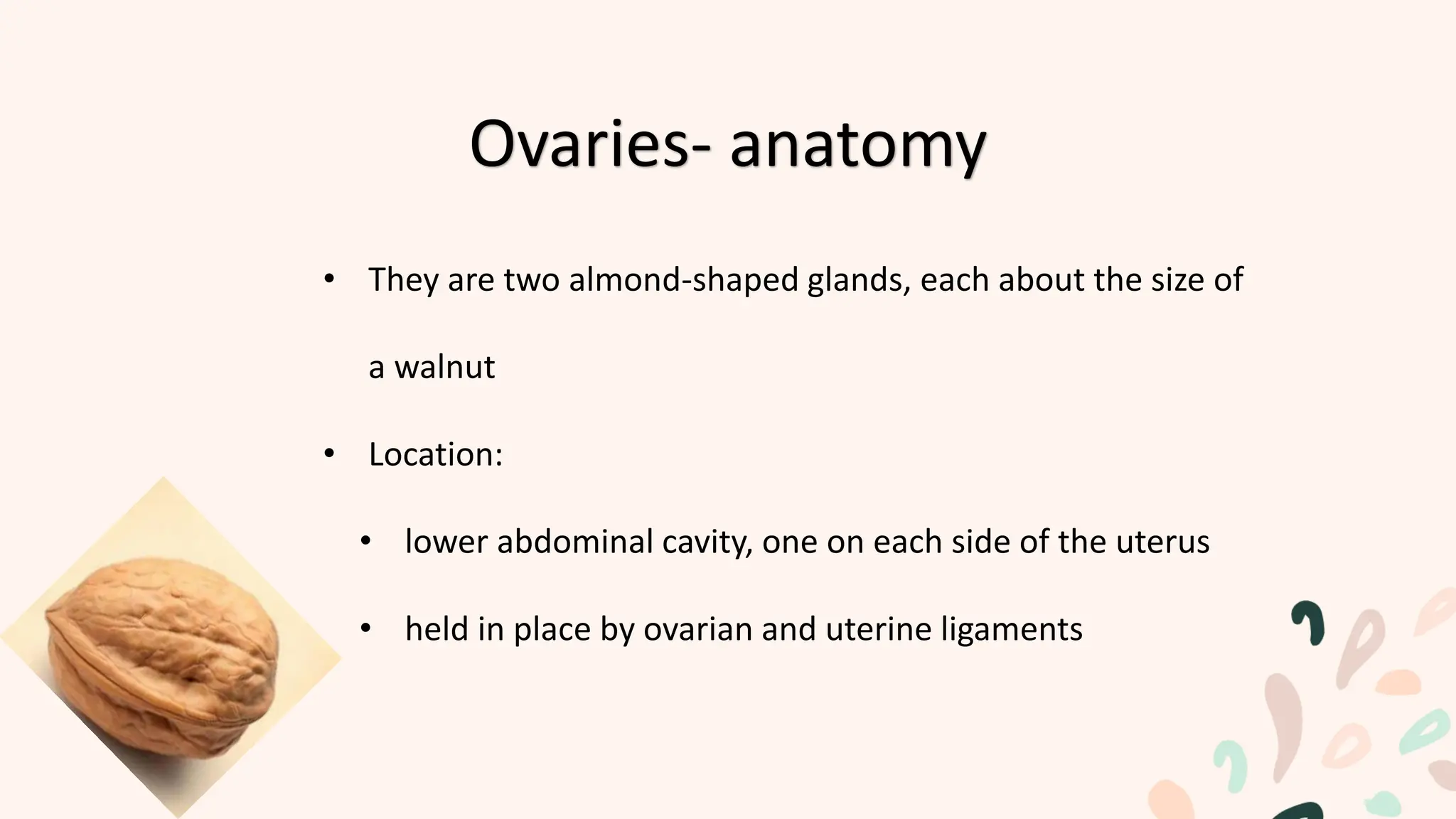 1 female anat physio puberty dynamics.pptx [Autosaved].pptx