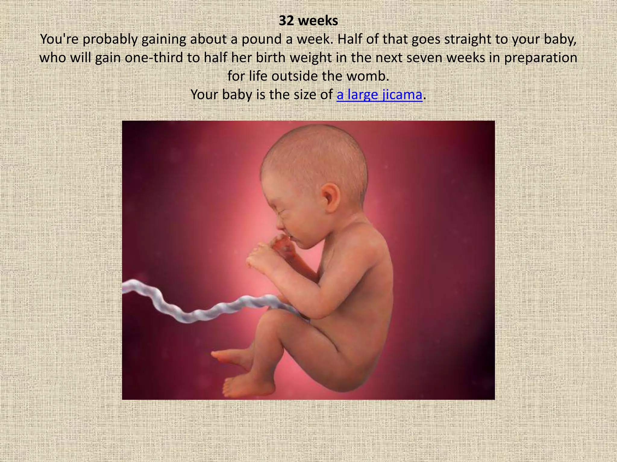 1 fetal development week by week | PPTX