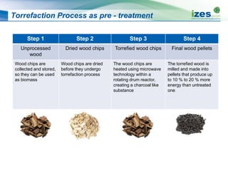 20131008 Biomass Conversion Technologies | PPT