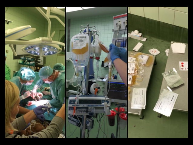 1 ffp octaplas massive transfusion 35 slides | PPT