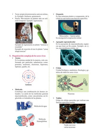 1 FICHA CYT COMPOSICIONDE LOS SERES VIVO.docx