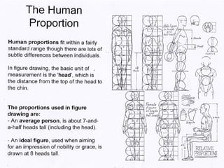 Figure Drawing proportion and construction | PPT