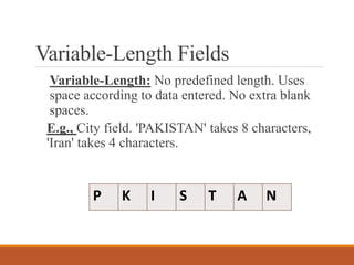 File_Management_Systems_field record file.pptx