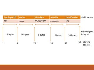 File_Management_Systems_field record file.pptx