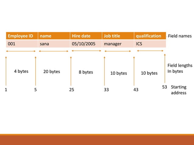 File_Management_Systems_field record file.pptx