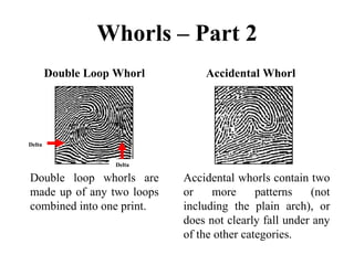 1fingerprint101 | PPT