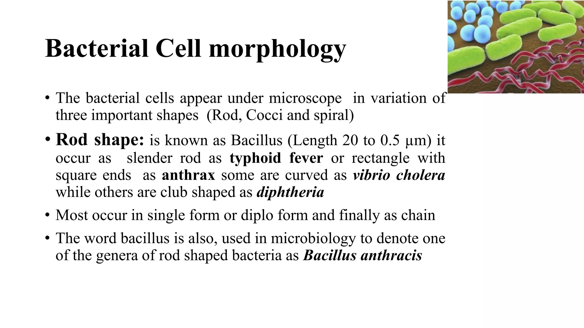 1 first lecture introduction microbiology | PPTX