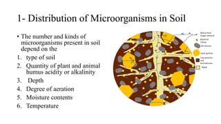 1 first lecture introduction microbiology | PPT