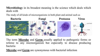 1 first lecture introduction microbiology | PPT
