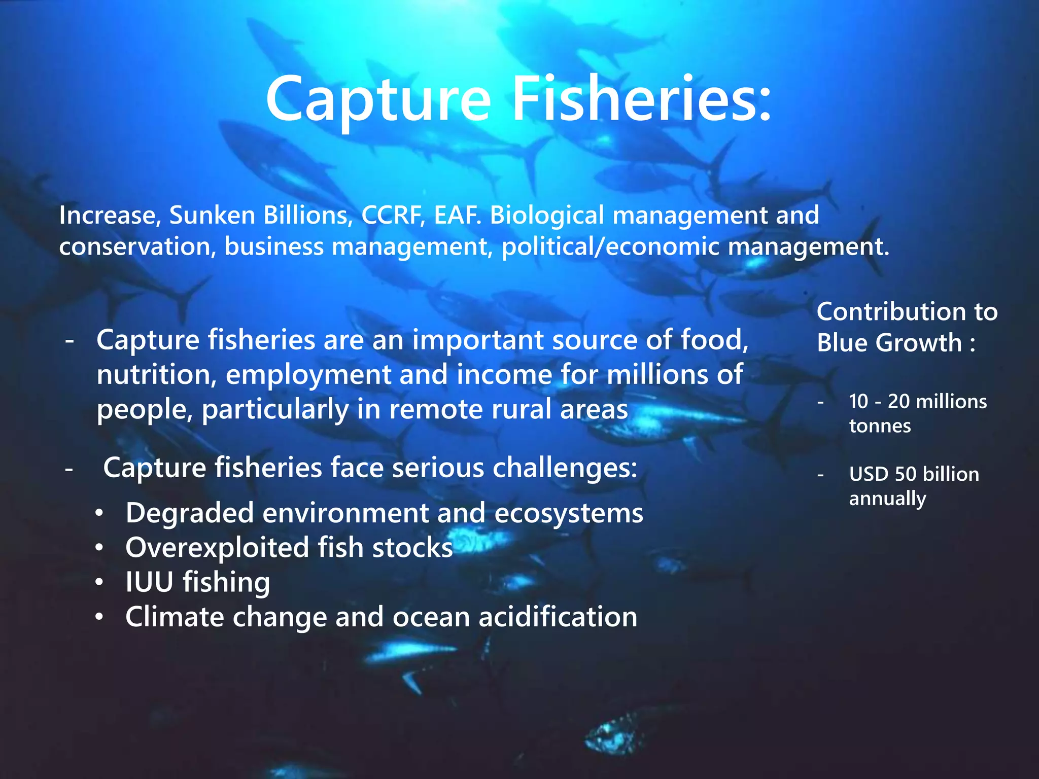 Fish and Human Nutrition | PPTX