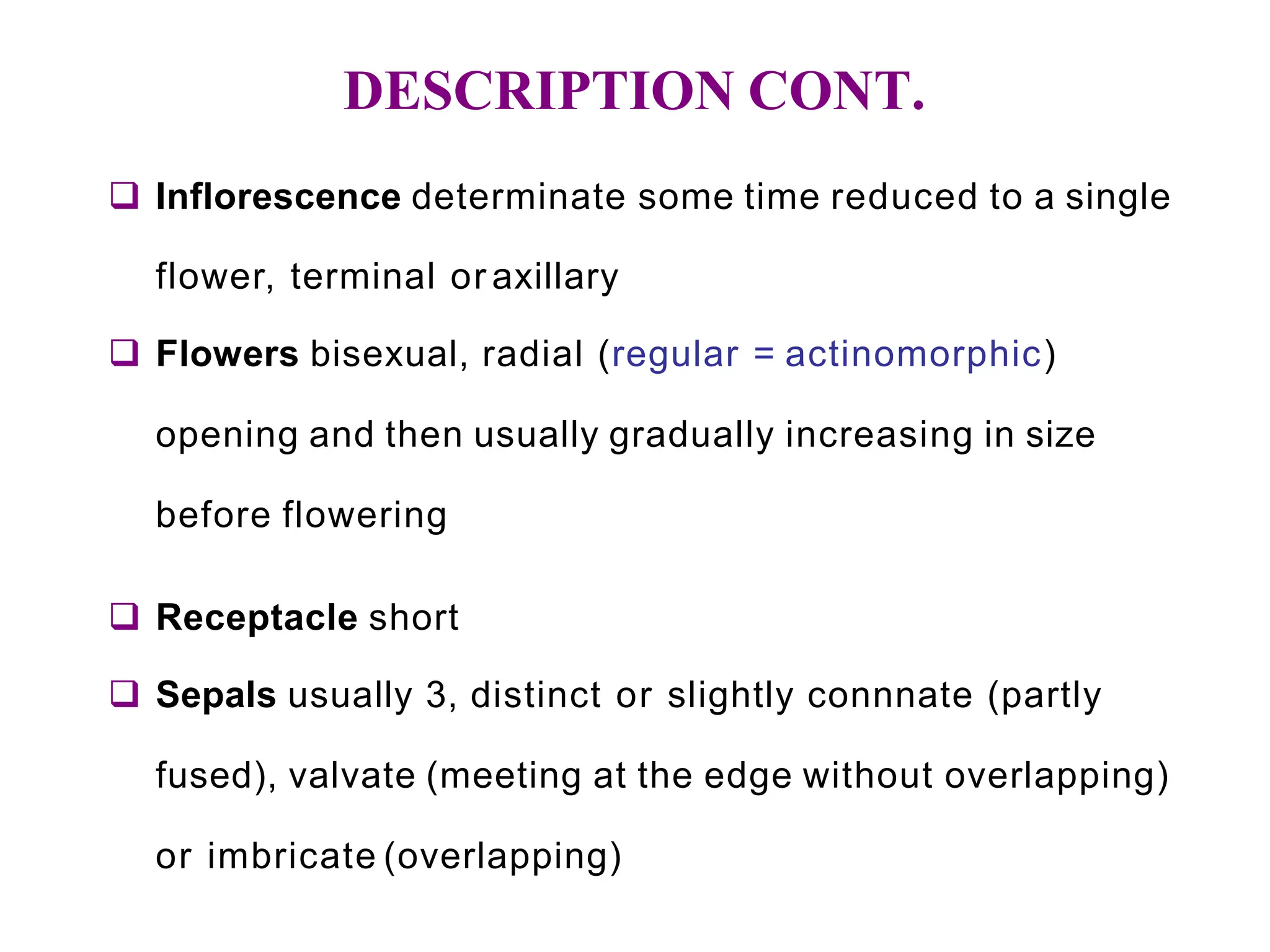 1 FLOWERING -MAGNOLID ANNONACEAE-converted.pptx