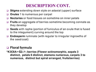 1 FLOWERING -MAGNOLID ANNONACEAE-converted.pptx