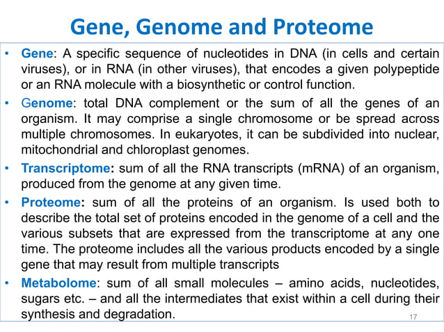 flow of genetic information | PPT
