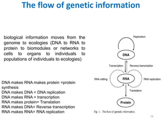 flow of genetic information | PPT