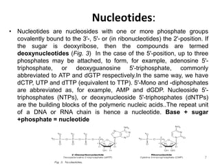 flow of genetic information | PPT