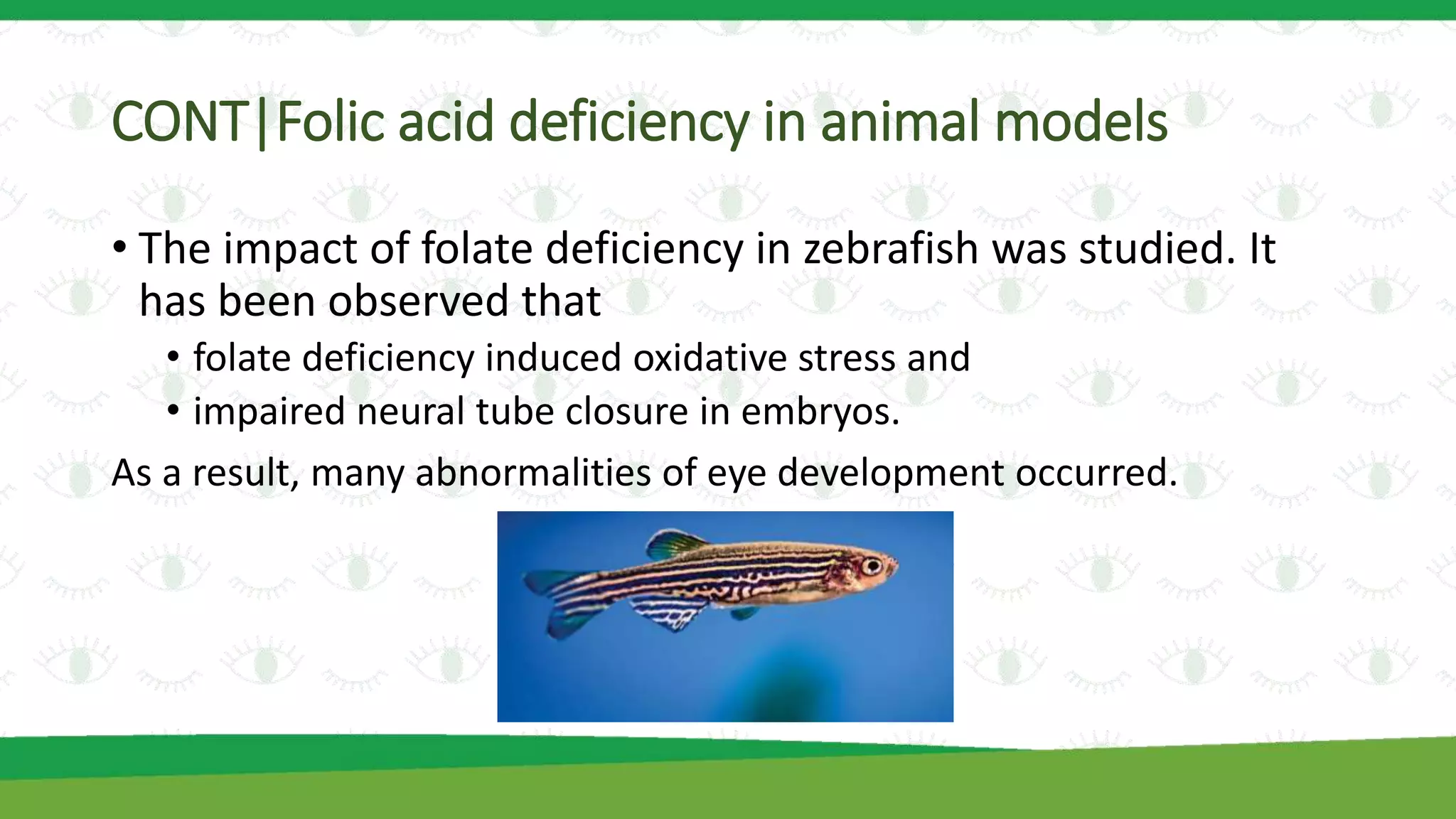 Folic acid deficiency and vision | PPTX | Eye and Vision Conditions ...