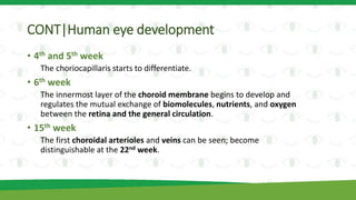 Folic acid deficiency and vision | PPT