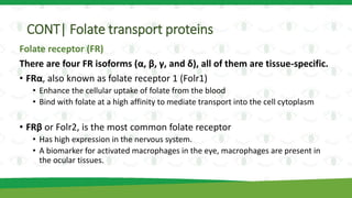 Folic acid deficiency and vision | PPTX | Eye and Vision Conditions ...