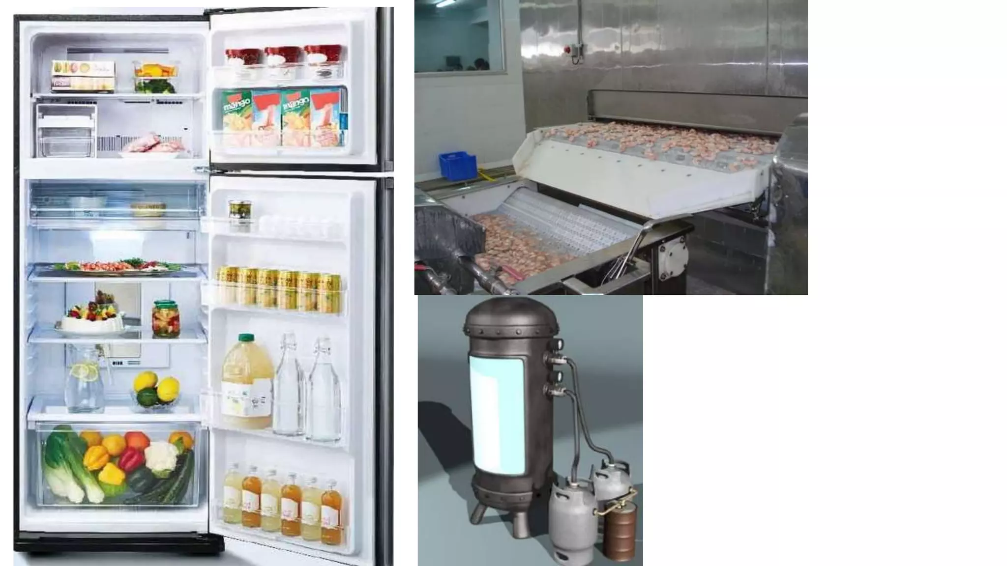 1 FOOD PROCESSING.pptx