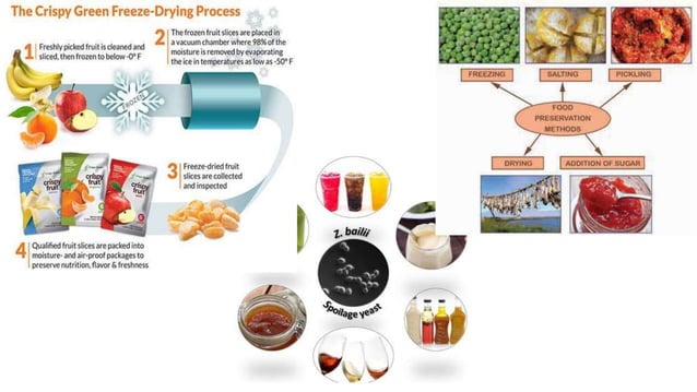 1 FOOD PROCESSING.pptx