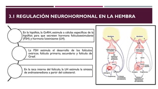 Reproduccion animal | PDF
