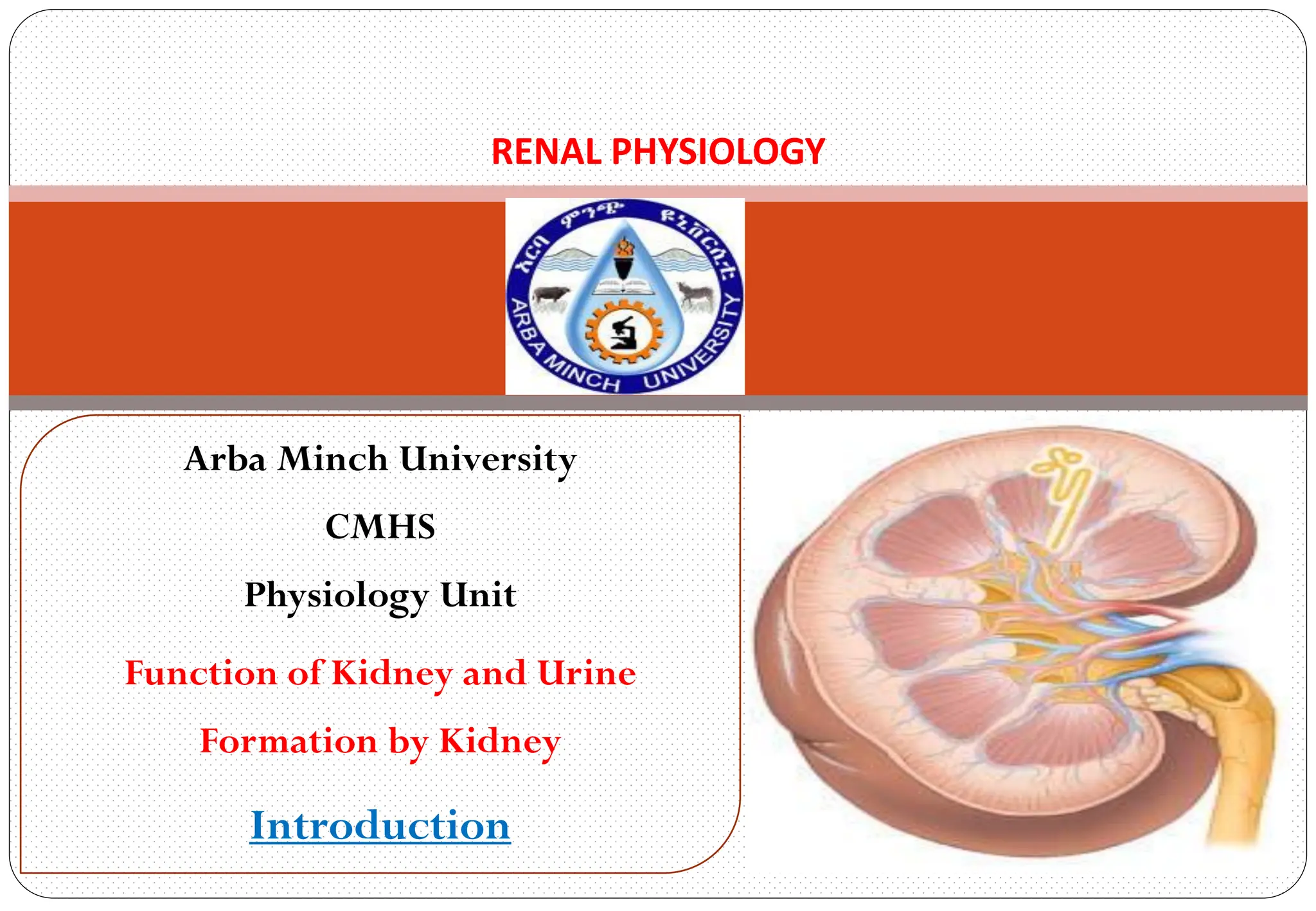 1_Function_of_Kidney_and_Urine_Formation_by_Kidney,_GF_and_RBF.pdf