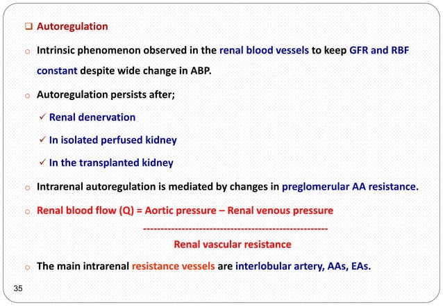 1_Function_of_Kidney_and_Urine_Formation_by_Kidney,_GF_and_RBF.pdf