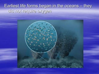 Functions of Atmosphere.pptx