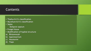 Fungi The Thallus Organisation 2-1.pptx