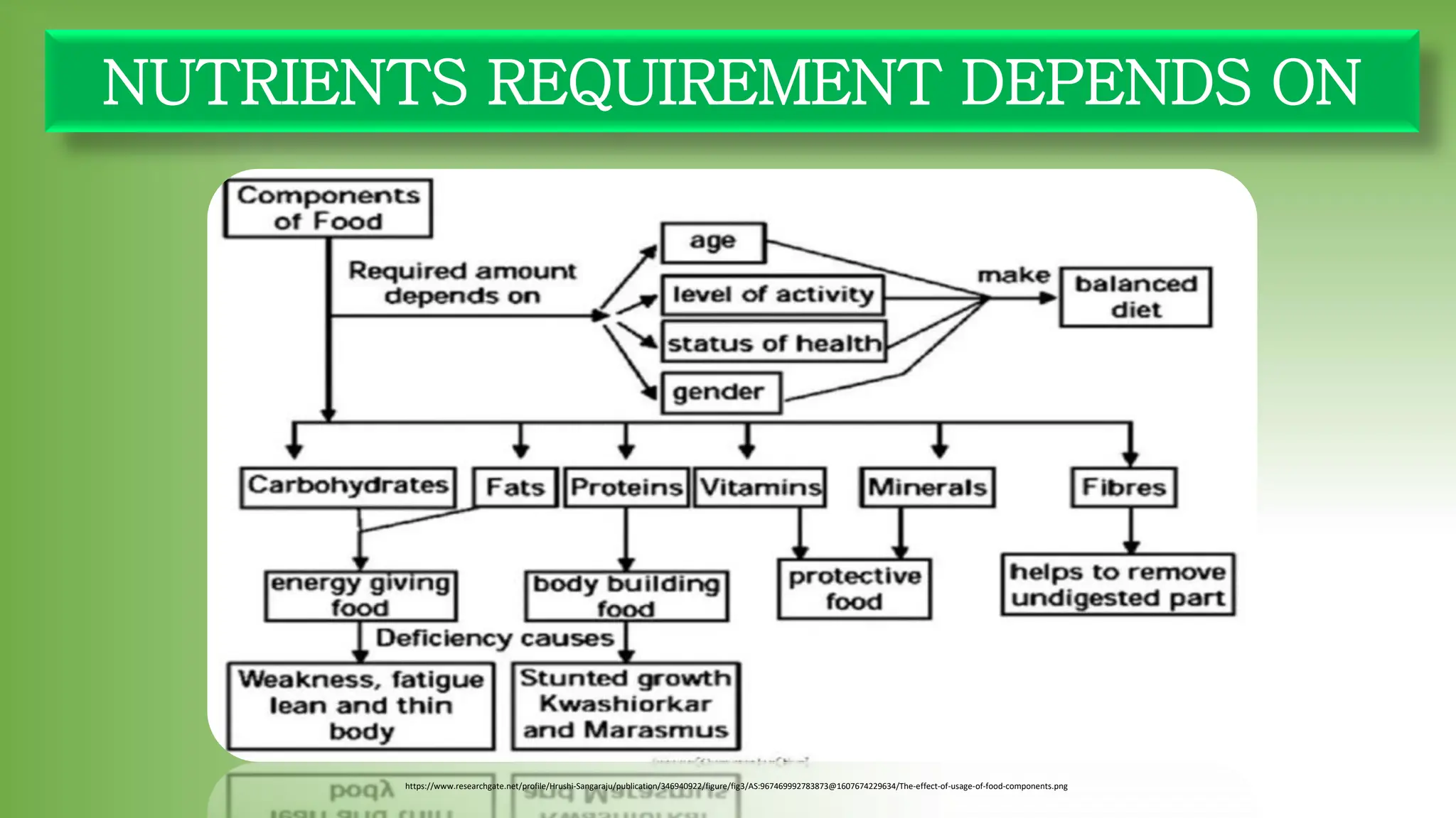 Concept of Balanced Diet & Nutrients.pdf