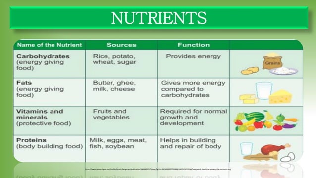 Concept of Balanced Diet & Nutrients.pdf
