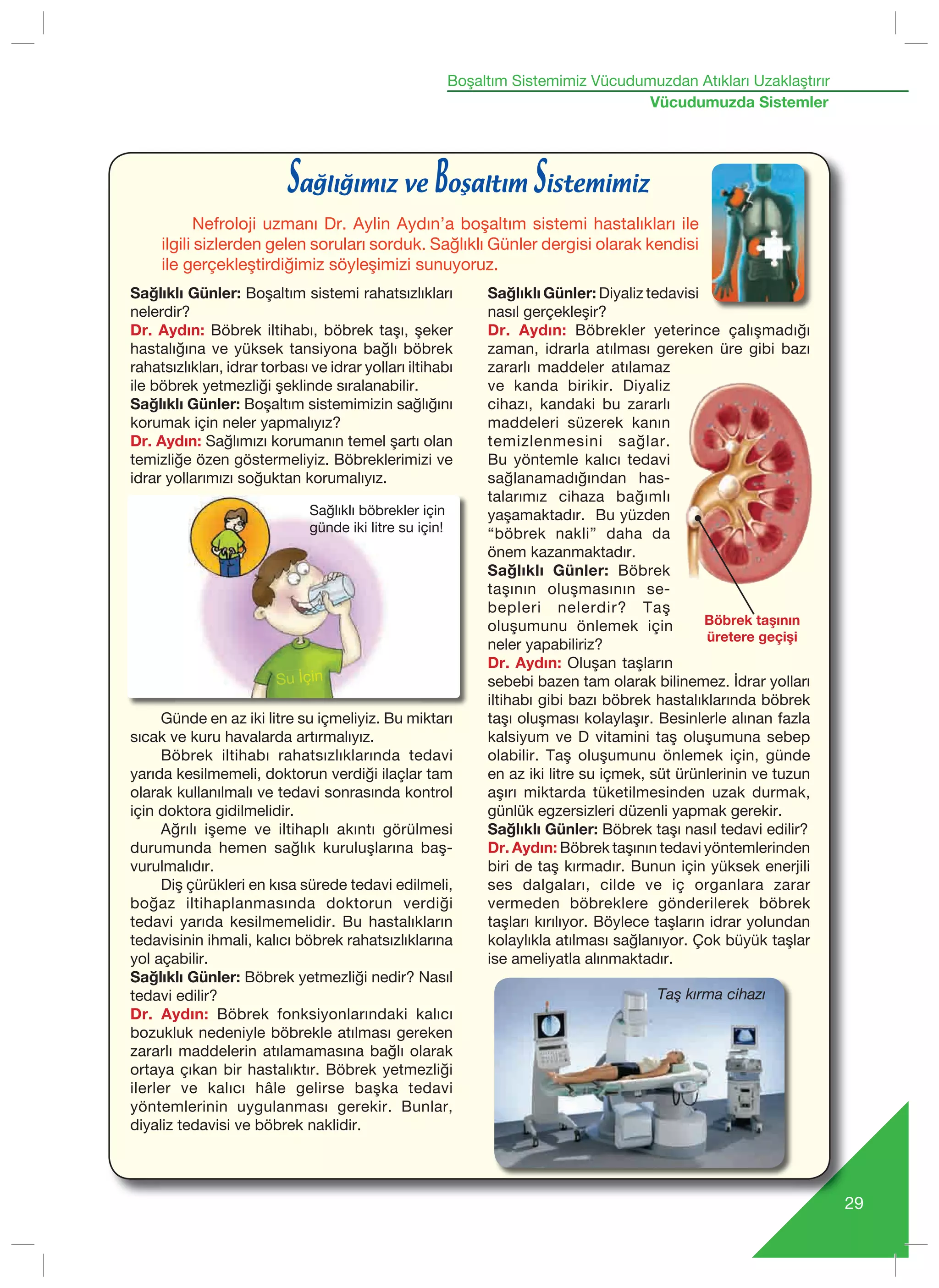 Boşaltım sistemi | PDF