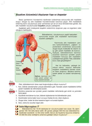 Boşaltım sistemi | PDF