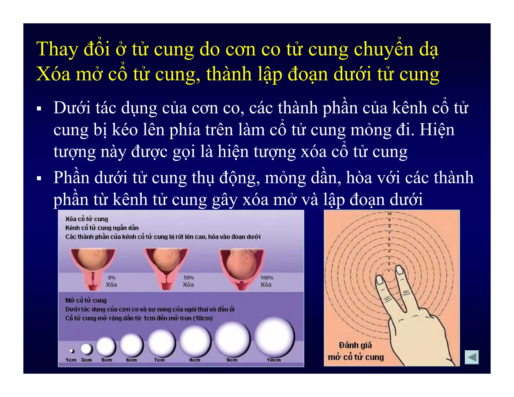 SINH LÝ CHUYỂN DẠ | PDF