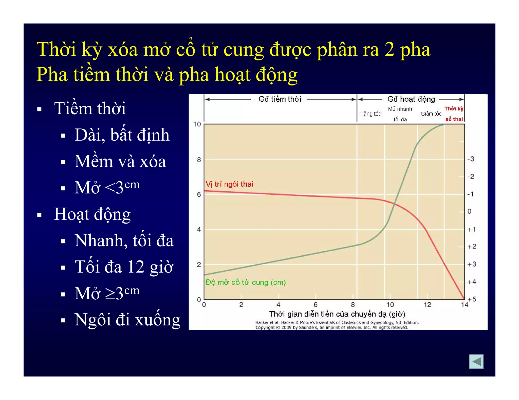 SINH LÝ CHUYỂN DẠ | PDF
