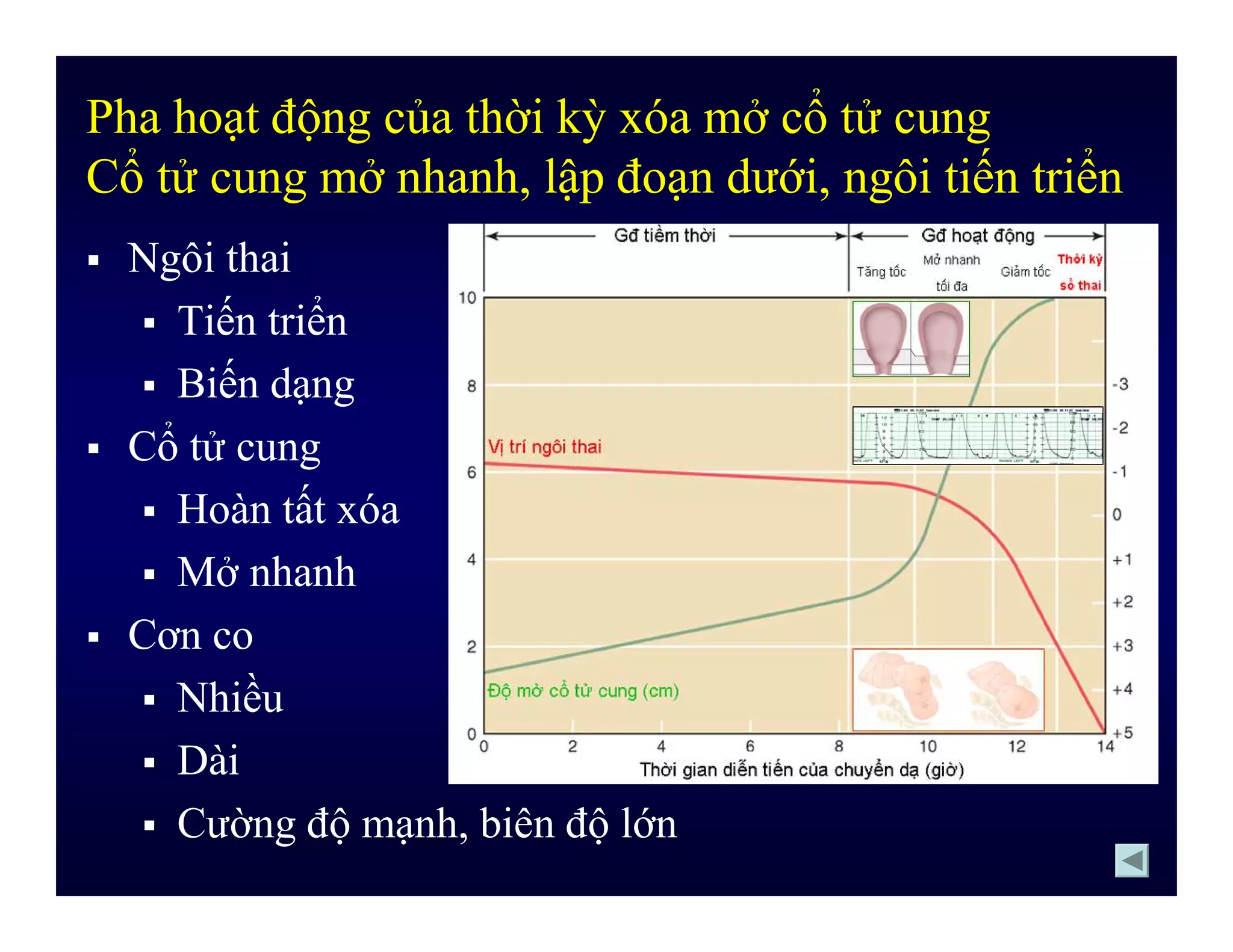 SINH LÝ CHUYỂN DẠ | PDF
