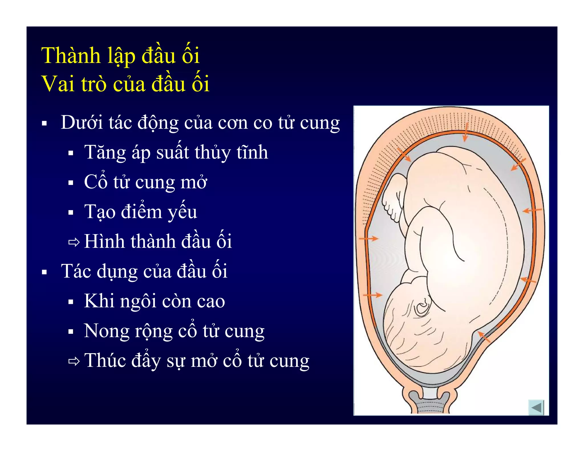 SINH LÝ CHUYỂN DẠ | PDF